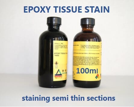 Epoxy Tissue Staining Semi thin sections. - Delta Microscopies